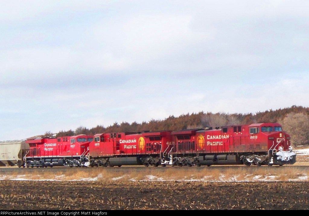 CP 8613